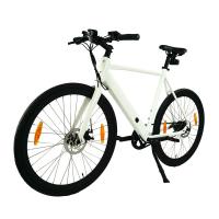 China 36V 250W Electric City Bike 18.6 kg Belt Drive E-Bicycle for Smooth Commuting Kenda Tires for sale