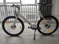 China 36V 250W Electric City Bike 18.6 kg Belt Drive E-Bicycle for Smooth Commuting Kenda Tires for sale