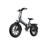 China Electronic Smart 48V 13Ah 20 Inch Electric Folding Bike 2024 Customizable for sale