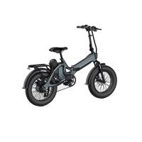 China Electronic Smart 48V 13Ah 20 Inch Electric Folding Bike 2024 Customizable for sale
