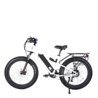 China 36V 250W 700C Belt Drive Electric Commuter Bike with 6061 Aluminum Alloy Frame for sale