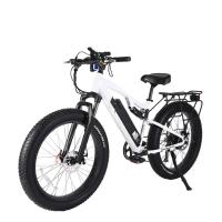 China 36V 250W 700C Belt Drive Electric Commuter Bike with 6061 Aluminum Alloy Frame for sale