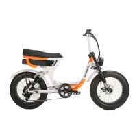 China Electric Cycle 20 Inch Fat Tire Ebike 7 Speed 48V 1000W Motor Max Speed 50km/h for sale
