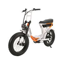China Electric Fat Tire Bike 48V 750W Front Fork Suspension Retro Big Saddle Bike ODM OEM for sale