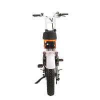 China Electric Fat Tire Bike 48V 750W Front Fork Suspension Retro Big Saddle Bike ODM OEM for sale