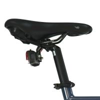 China Electric Road Bike 250W Motor 36V 9.6Ah Battery 700C Aluminum Frame Belt Drive for sale