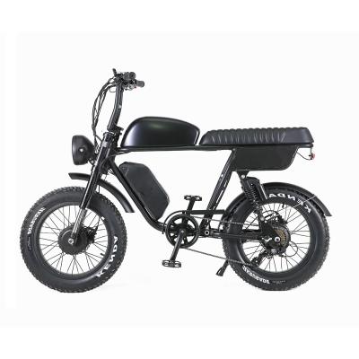 China 48V 1000W Dual Motor Fat Tire Ebike 20 Inch Electric Bicycle with LG Battery for sale