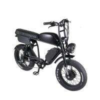 China 48V 1000W Dual Motor Fat Tire Ebike 20 Inch Electric Bicycle with LG Battery for sale