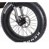 China Aluminum Alloy Frame 1000W 48V Lithium Battery Electric Fat Tire Bike Vintage E-Bike for sale