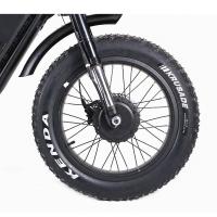 China Dual Motor Electric Bike 48V 1000W Retro Vintage City Ebike with LG Battery for sale