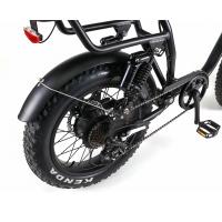 China Dual Motor Electric Bike 48V 1000W Retro Vintage City Ebike with LG Battery for sale