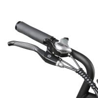 China 48V 20Ah Electric City Bike for Women 20 Inch Fat Tire 7 Speed 500W Motor for sale