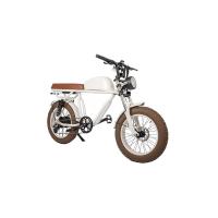 China Domanca 48V 750W Electric Motorcycle 20 Inch Fat Tire LCD Display 7 Speed 10Ah Lithium Battery for sale
