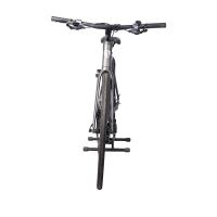 China Domanca EC3 Customized Electric Bicycle 36V 10Ah Carbon Fiber 700C 8 Speed Hydraulic Disc Brake for sale