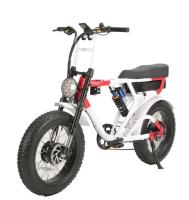China 26 Inch Electric Bike 1000W Bafang Mid Drive Motor 48V 20Ah Battery Full Suspension E Bike for sale