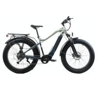 China 48V 500W Electric City Bike 26 Inch Aluminum Frame E-Bike with Lithium Battery and LCD Display for sale