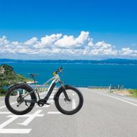 China 48V 500W Electric City Bike 26 Inch Aluminum Frame E-Bike with Lithium Battery and LCD Display for sale