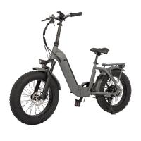 China 48V 10Ah Electric Folding Bike 20 Inch Aluminum Alloy Frame Shimano 7 Speed Ebike for sale