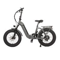 China 48V 10Ah Electric Folding Bike 20 Inch Aluminum Alloy Frame Shimano 7 Speed Ebike for sale