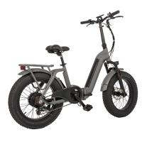 China 48V 10Ah Electric Folding Bike 20 Inch Aluminum Alloy Frame Shimano 7 Speed Ebike for sale