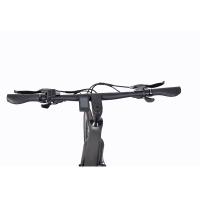 China Domanca EC3 36V 10Ah Carbon Fiber Electric Road Bike 700C 8 Speed Fast E Bike for sale