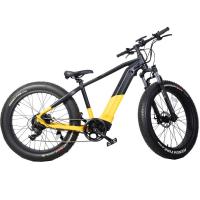 China Electric Mountain Bike 1000W Bafang Mid Drive Motor 48V 20Ah Lithium Battery 26 Inch for sale