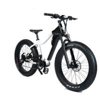 China 48V 1000W Full Suspension Electric Fat Bike with 20x4.0 Tires and Hydraulic Brake for sale