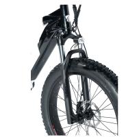 China 48V 1000W Full Suspension Electric Fat Bike with 20x4.0 Tires and Hydraulic Brake for sale