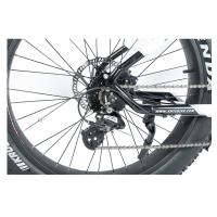 China 48V 1000W Full Suspension Electric Fat Bike with 20x4.0 Tires and Hydraulic Brake for sale