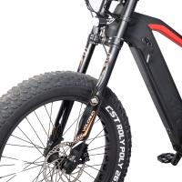 China Bafang M620 1000W Mid Drive Electric Bike Carbon Fiber Frame 48V 20Ah for sale