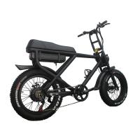 China 70-80 Nm Torque 2024 Full Suspension Vintage Dirt eBike 1000w Motor 73 Fat Tire for sale