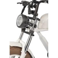 China Domanca 48V 10Ah OEM Electric Motorcycle with 20 Inch Fat Tire and Up Tube Battery for sale