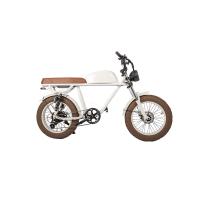 China Domanca 48V 10Ah OEM Electric Motorcycle with 20 Inch Fat Tire and Up Tube Battery for sale