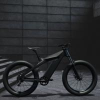 China 48V 750W Electric Fat Bike 26 Inch Carbon Fiber Cruiser with 13Ah Samsung Battery for sale