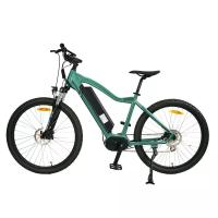 China Customized 26 Inch Electric Bike CM01 with 36V 250W Motor and Disc Brake Hidden Battery for sale