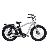 China Electric Beach Cruiser Bike 750W Motor 48V 13Ah Lithium Battery Fat Tire Chopper Hub Motor for sale