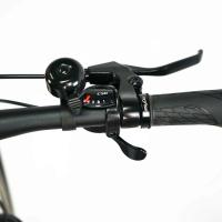 China Customized 26 Inch Electric Bike CM01 with 36V 250W Motor and Disc Brake Hidden Battery for sale