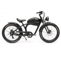 China 750W 48V 20Ah 7 Speed Brushless Motor Electric Chopper Bicycle for Adult Beach Cruiser for sale