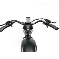 China 750W 48V 20Ah 7 Speed Brushless Motor Electric Chopper Bicycle for Adult Beach Cruiser for sale