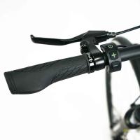 China Customized 26 Inch Electric Bike CM01 with 36V 250W Motor and Disc Brake Hidden Battery for sale