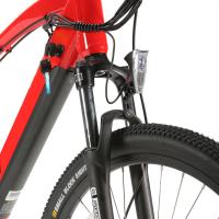 China 36V 250W 700C Belt Drive Electric Road Bike with Hidden Battery LG Cell 9.6Ah for sale