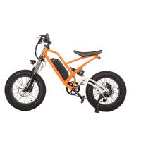 China 48V 13Ah 750W Fat Tire Electric Dirt Bike for Adults All Terrain 25km/h for sale