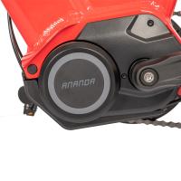 China Customized Red Electric Bike 36V 250W with 10.5Ah Hidden Battery Aluminum Alloy Frame for sale
