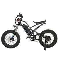 China Off Road Snow Electric Bike 750W Motor 48V 13Ah Lithium Battery Fat Tire 38kg Load Capacity for sale