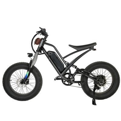 China Off Road Snow Electric Bike 750W Motor 48V 13Ah Lithium Battery Fat Tire 38kg Load Capacity for sale