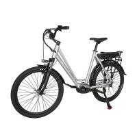 China DOMANCA 750W Lady Electric Bike with 48V 40AH Samsung Battery and 18 Speed Gears for City Riding for sale