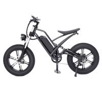 China Off Road Snow Electric Bike 750W Motor 48V 13Ah Lithium Battery Fat Tire 38kg Load Capacity for sale