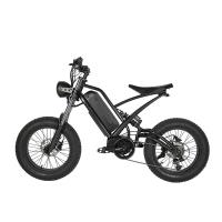 China Off Road Snow Electric Bike 750W Motor 48V 13Ah Lithium Battery Fat Tire 38kg Load Capacity for sale