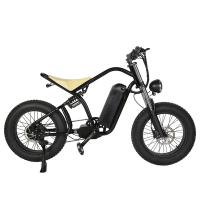 China Off Road Snow Electric Bike 750W Motor 48V 13Ah Lithium Battery Fat Tire 38kg Load Capacity for sale
