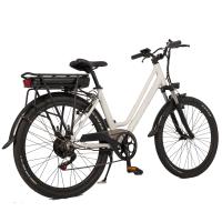 China DOMANCA 750W Lady Electric Bike with 48V 40AH Samsung Battery and 18 Speed Gears for City Riding for sale